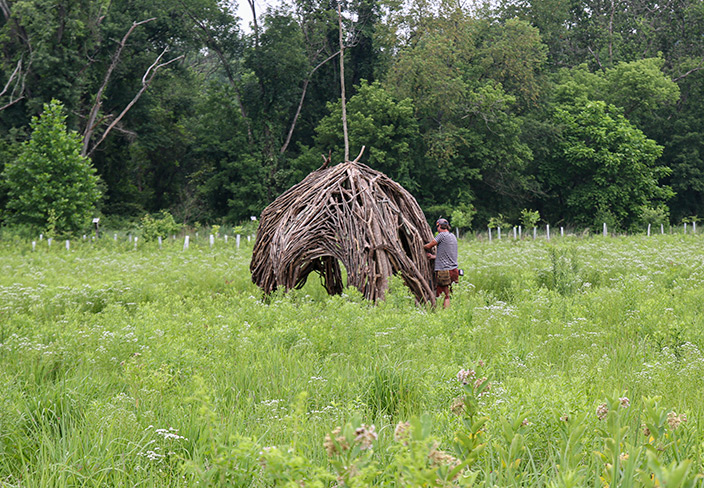An Artist’s Walk with Ian Stabler | Brandywine Conservancy and Museum ...