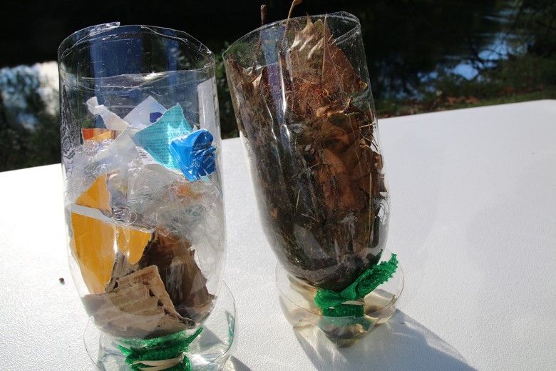 Celebrate Earth Science Week | Brandywine Conservancy and Museum of Art