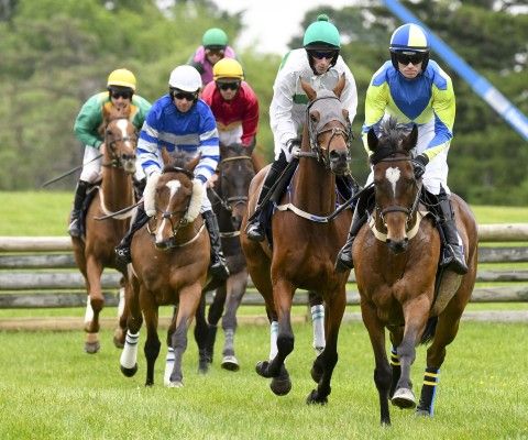 Conservancy | Brandywine Conservancy and Museum of Art