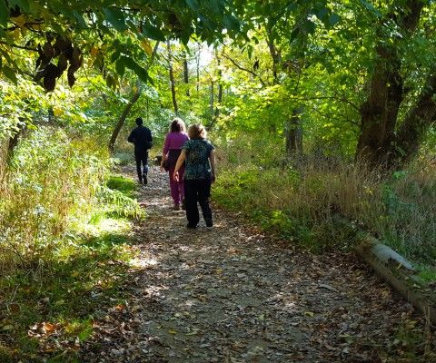 Museum | Brandywine Conservancy and Museum of Art