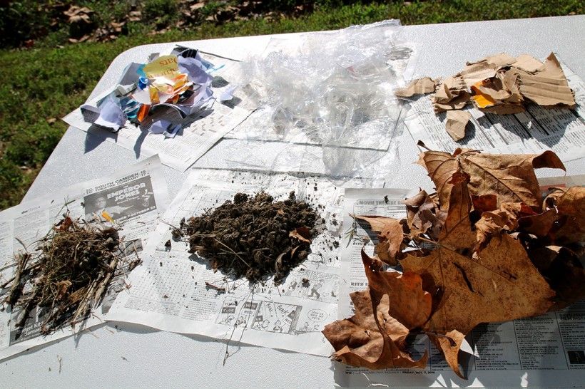 Celebrate Earth Science Week | Brandywine Conservancy and Museum of Art