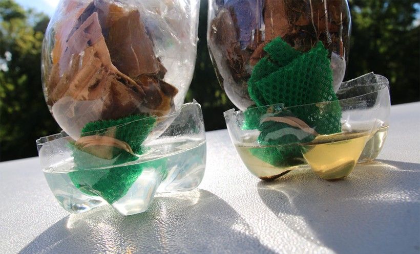 Celebrate Earth Science Week | Brandywine Conservancy and Museum of Art