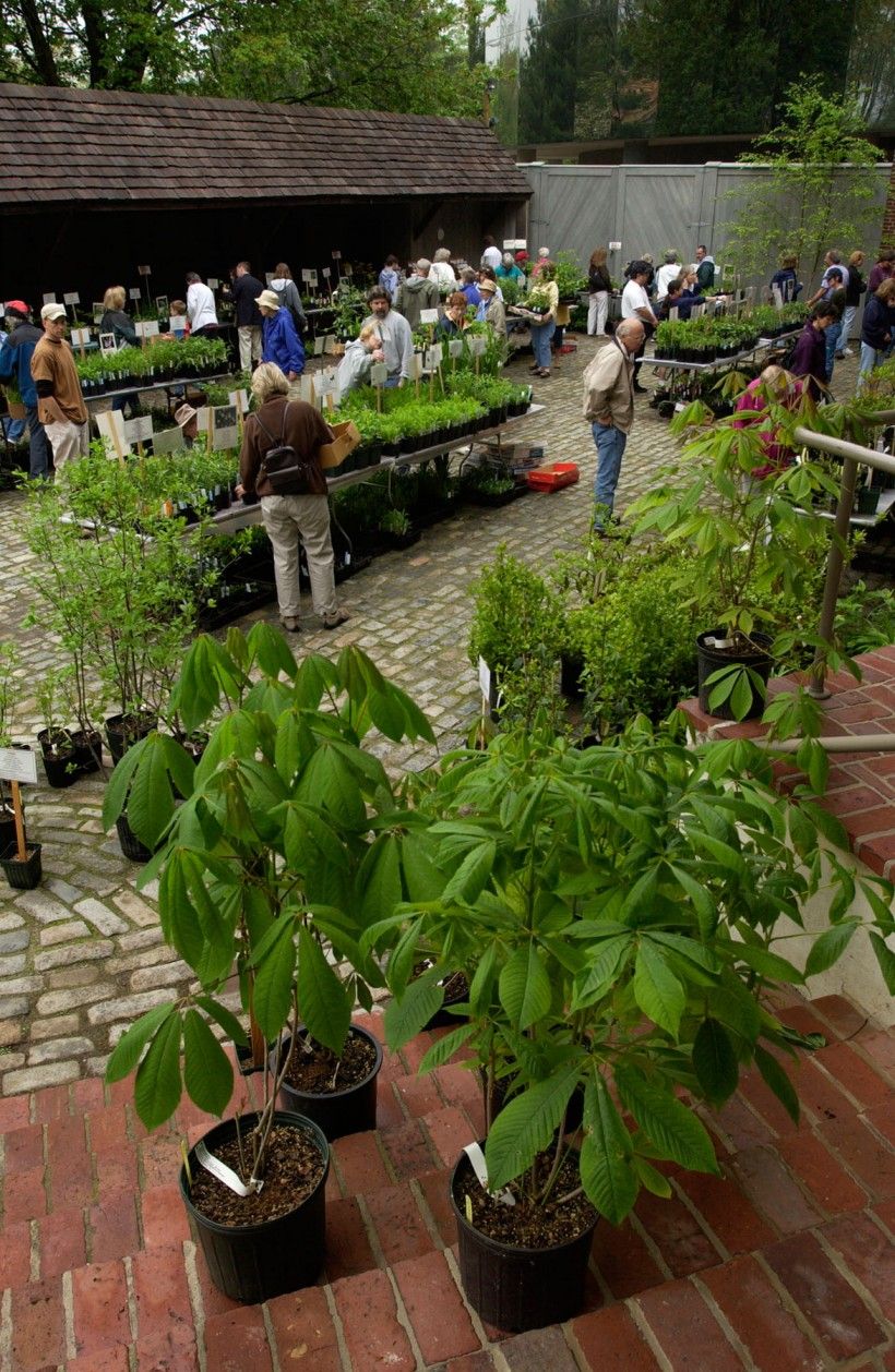 Seed Program | Brandywine Conservancy and Museum of Art