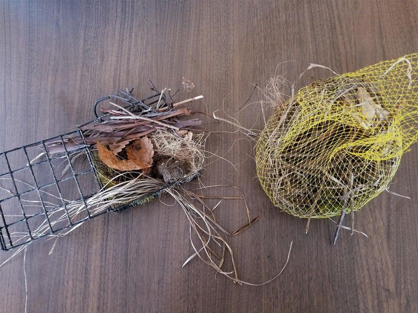 DIY Bird Shop: Nesting Materials | Brandywine Conservancy and Museum of Art