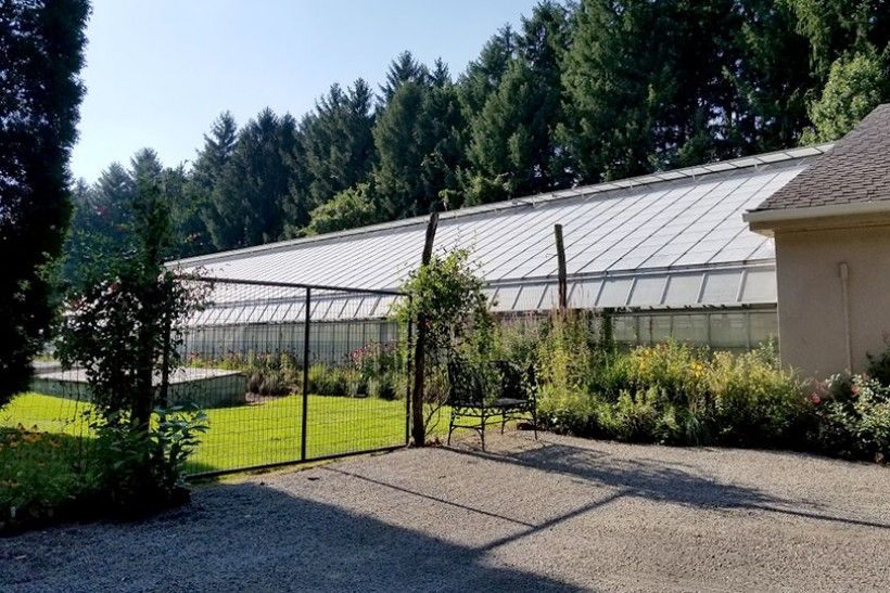 The Greenhouse at Penguin Court | Brandywine Conservancy and Museum of Art