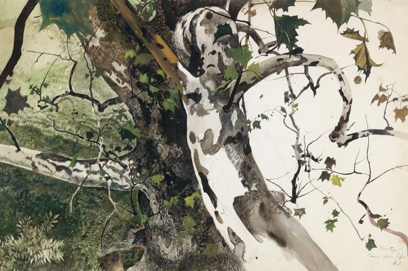 Every Leaf & Twig: Andrew Wyeth’s Botanical Imagination | Brandywine ... Every Leaf & Twig: Andrew Wyeth’s Botanical Imagination | Brandywine ...